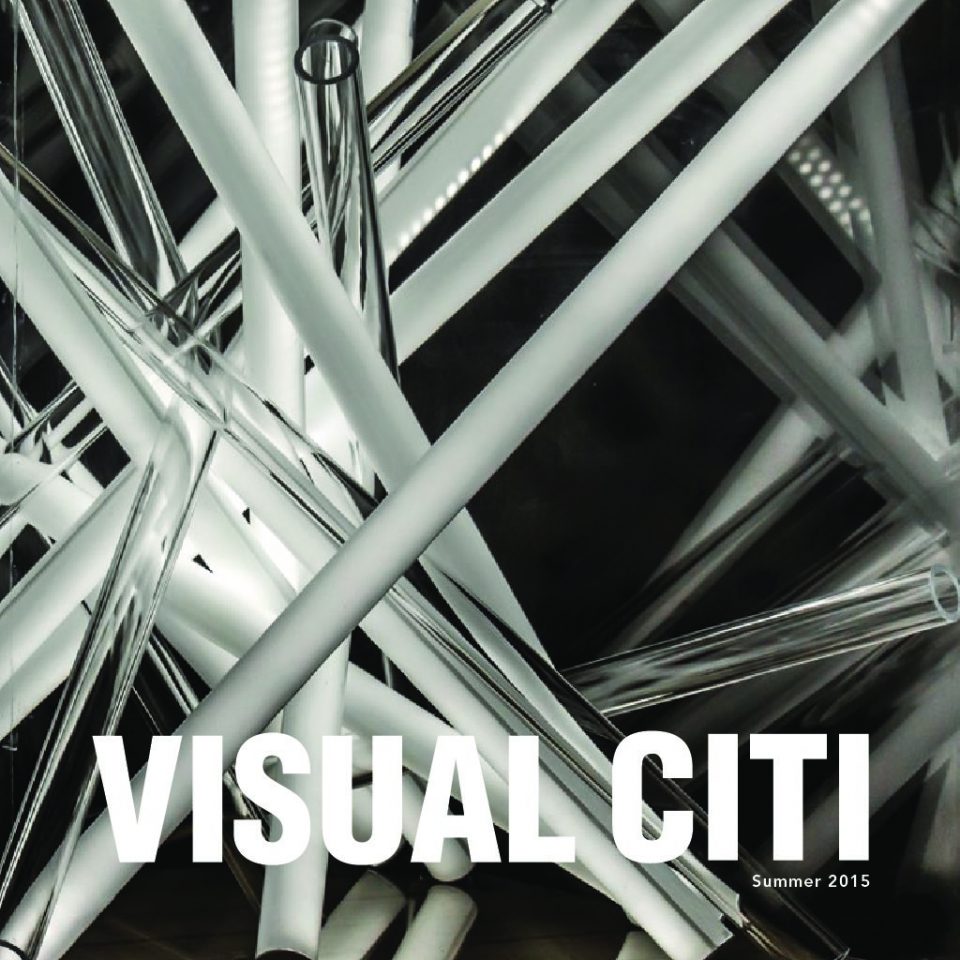 Catalogs : Visual Citi